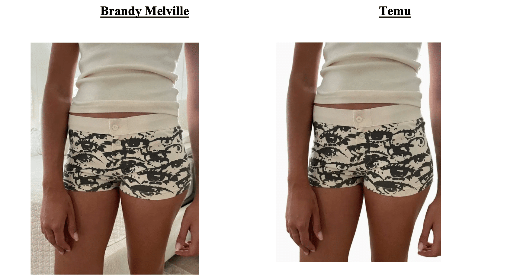 Temu Hit With Lawsuit Over Alleged Brandy Melville Counterfeits